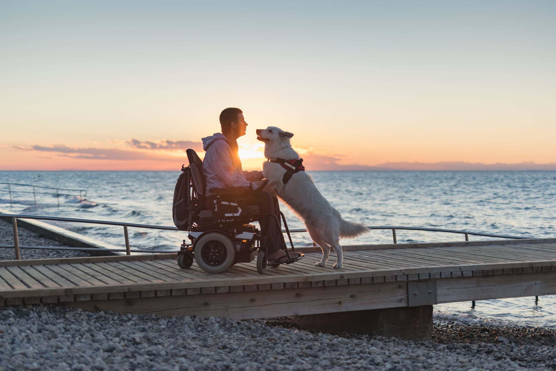 Who We Are - Disability Network